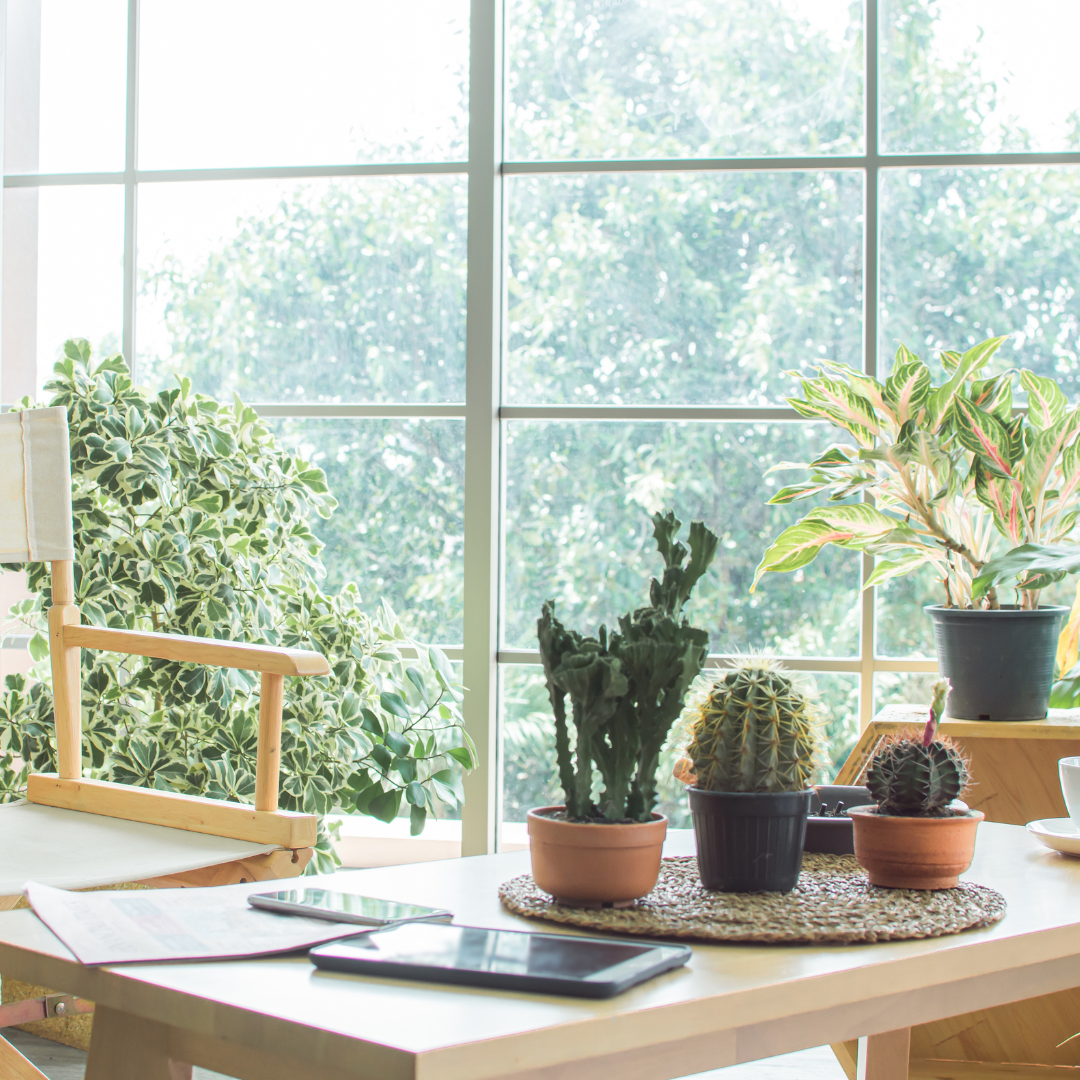 Home Energy Fields: A Basic Guide | Quantum Upgrade