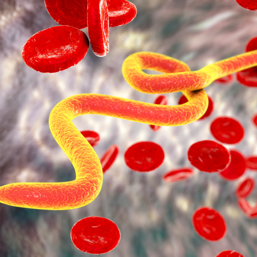 How Quantum Upgrade Technology Transforms Vital Blood: A Breakthrough ...